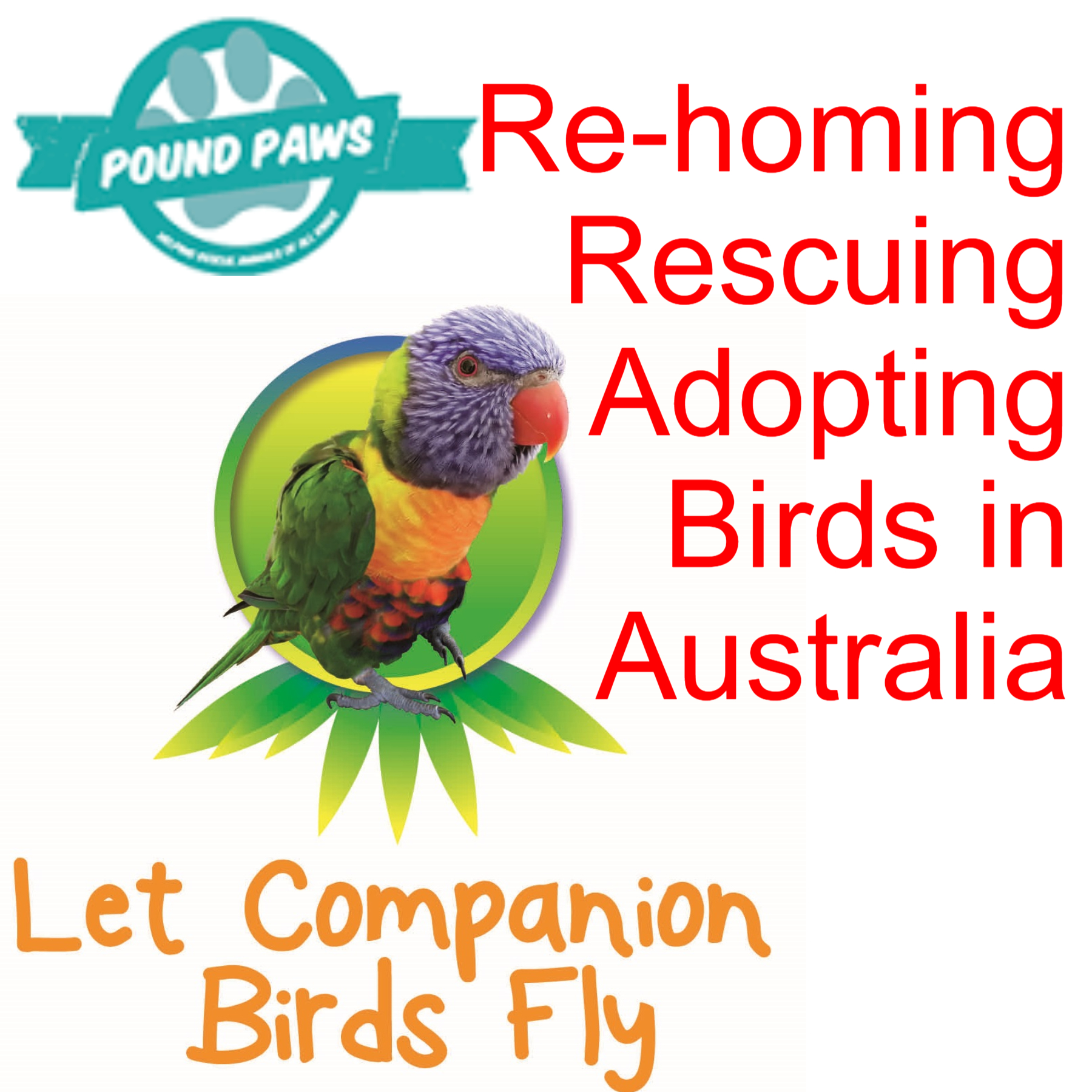 -in Asia – Wonderful World of Non Human Animals